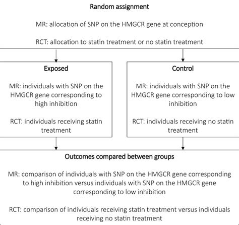 Mendelian Randomization A Novel Approach For The Prediction Of Adverse