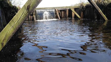 Colliers Mills Wildlife Management Area 401 Hawkin Rd New Egypt Nj