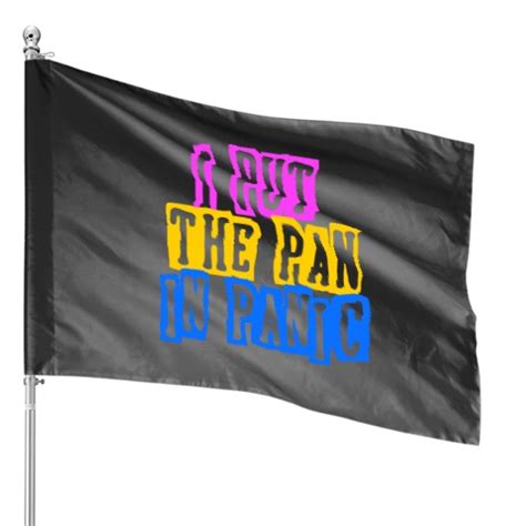 I Put The Pan In Panic Pansexual Queer Flag Lgbt House Flags Sold By