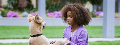 Annie Review