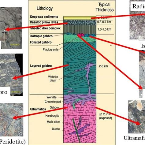 Comparison Of Lithologies Of Shyok Ophiolite With Typical Ophiolite