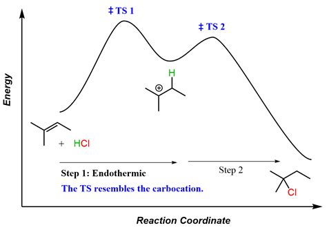 Hammond Postulate Chemistry Steps