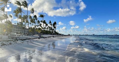 야자수가있는 해변 사진 Unsplash의 무료 바닷가 이미지