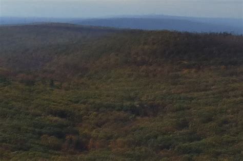 When Creating A Panorama With Hugin How Can I Disable Blending Images