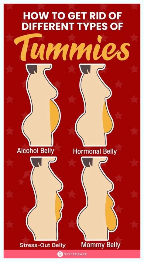 Different Types Of Belly Fat Artofit