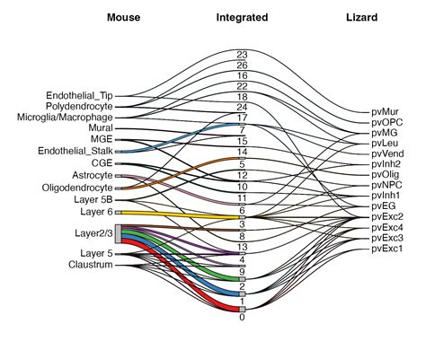 Cross Species Analysis With Uinmf • Rliger