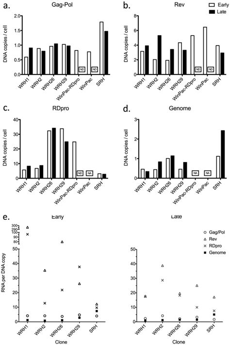 Dna Copy Numbers And Rna Expression Levels Of Each Vector Component In Download Scientific