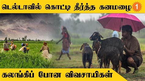 டெல்டா மாவட்டங்களில் பெய்த கனமழையால் பயிர்கள் சேதம் Video Dailymotion