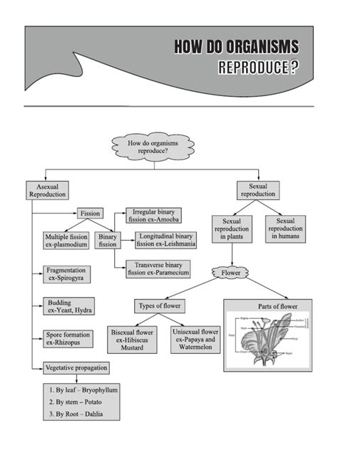 How Do Organism Reproduce Pdf