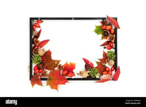 Autumn Fall And Thanksgiving Harvest Festival Background Nature Border