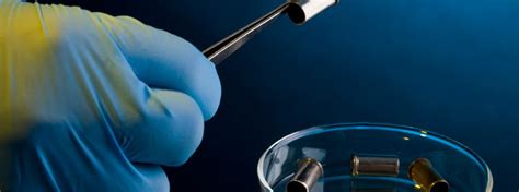 How To Become A Forensic Scientist Requirements For Becoming A