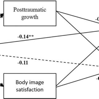 The Parallel Mediation Model With Standardized Parameter Estimates