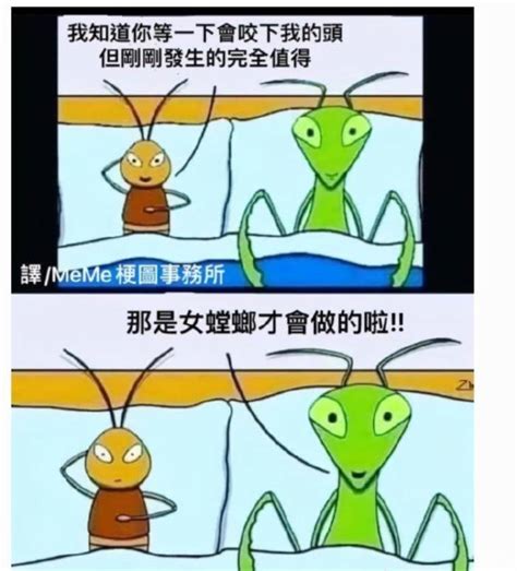 轻松一刻：我爸总是找不到谷歌浏览器所以我给他做了这个感觉夏天生男朋友