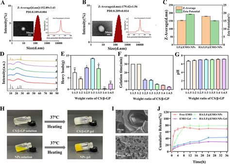 Nps And Gel Characterizations A Size Zeta Potential Distributions And
