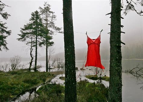 Echoes Of Red Liz Palm Photography