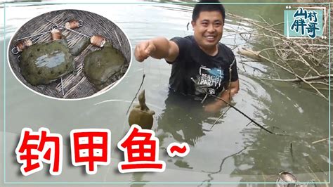 胖哥水库钓两只甲鱼，还没提回家就被一老板500块买走了，赚大了【山村胖哥】 Youtube