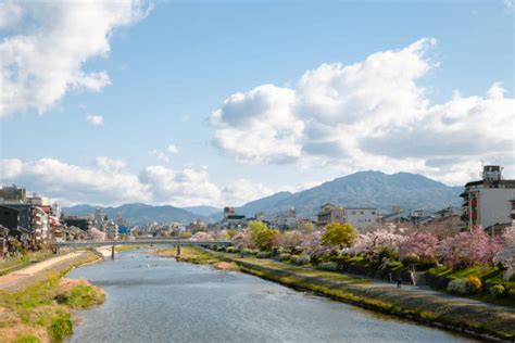 2200개 이상의 카모 강 이미지 스톡 사진 그림 및 Royalty Free 이미지 Istock