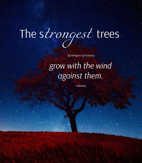 Inspiration And More 🍃 On X The Strongest Trees Grow With The🤩 Descubra