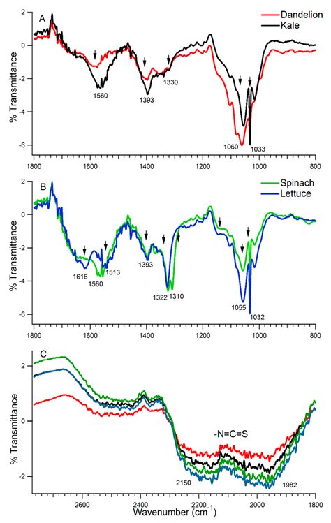 Attenuated Total Reflectionfourier Transform Infra Red Atr Ftir