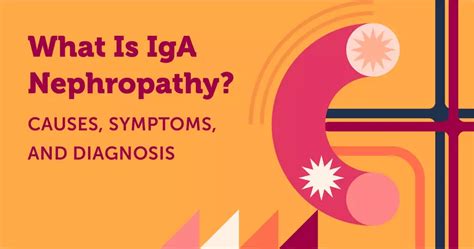 What Is Iga Nephropathy Causes Symptoms And Diagnosis Myigancenter