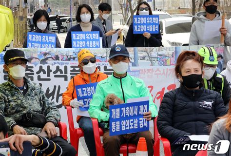 개·고양이 식용금지 동물보호법 개정 통과 촉구 네이트 뉴스