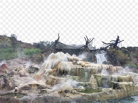 Stone Tree PNG Vector PSD And Clipart With Transparent Background For Free Download Pngtree