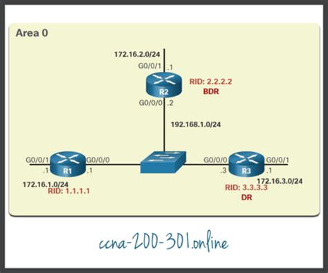 Multiaccess Ospf Networks Ccna