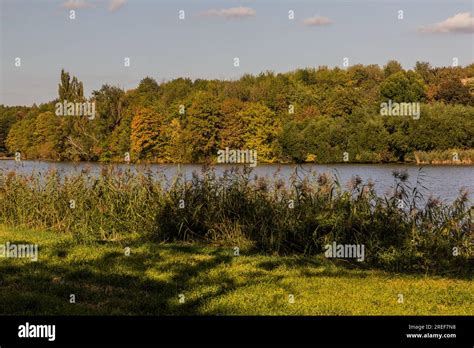 Mlynsky Rybnik Pond Near Cesky Brod Town Czech Republic Stock Photo