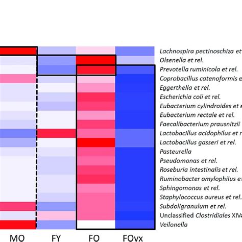 The Effect Of Age And Sex On The Mucus Thickness In The Colon
