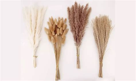Up To 57 Off On 100 Pcs 17 Inch Natural Dried Groupon Goods