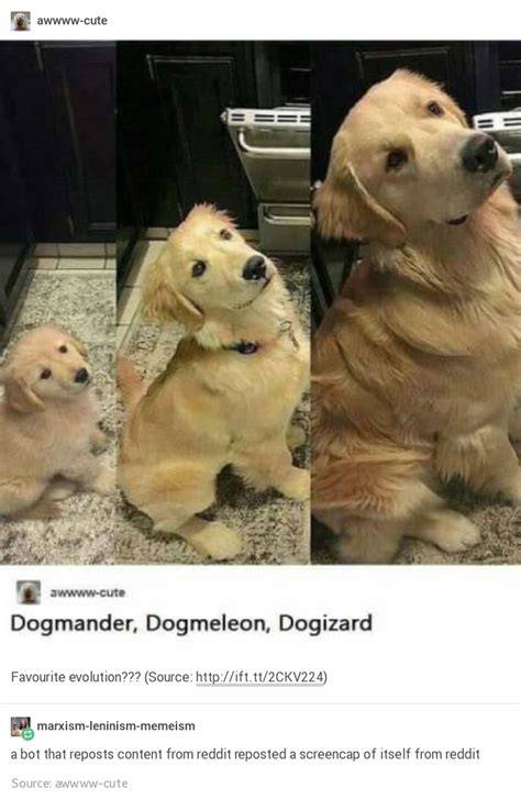 Recursion Rtumblr