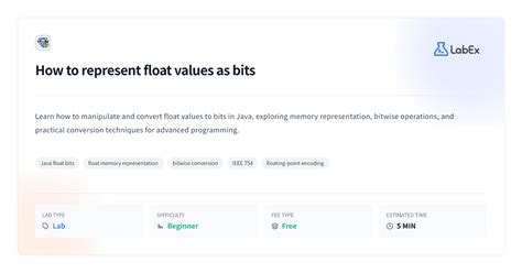 How To Represent Float Values As Bits Labex