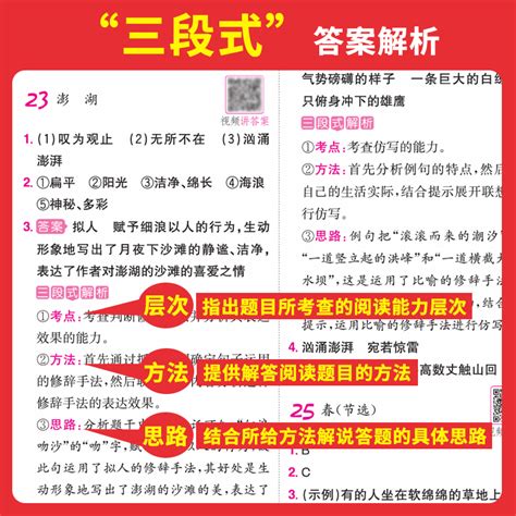 一本语文阅读 2024小学语文阅读训练100篇六年级阅读理解训练题人教版六年级上下册真题每日一练100题小学语文课外阅读专项书虎窝淘