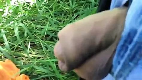 My Dick For The Mosquitoes Gay Man Man Porn Xhamster