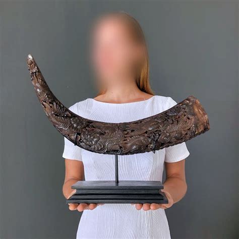 Finely Engraved Large Horn Of A Water Buffalo Bone Catawiki