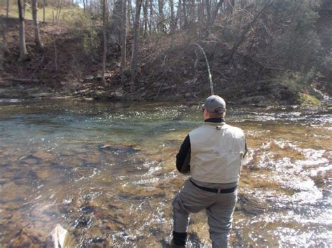 Virginia Trout Fishing Virginia Fly Fishing Trips Shenandoah Valley