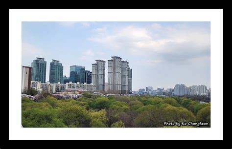 노원과 친구들 [서울 영등포] 여의도샛강생태공원의 봄 春 Daum 카페
