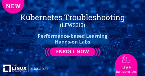 Kubernetes Troubleshooting LFWS313 Linux Foundation Education