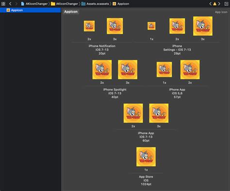 How To Set Alternate Icon For An Ios App Programmatically Ashish Kakkad