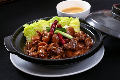 羊肉煲图片素材 羊肉煲设计素材 羊肉煲摄影作品 羊肉煲源文件下载 羊肉煲图片素材下载 羊肉煲背景素材 羊肉煲模板下载 搜索中心
