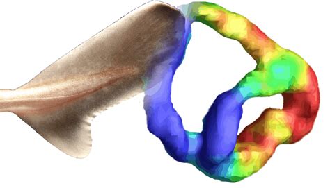 Fluid Dynamics Fluid Loco Lab