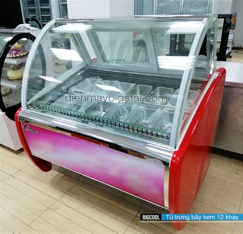 Giá Tủ Kem Mặt Kính đẹp Rẻ Tại Tphcm T122023 Điện Máy Bigstar