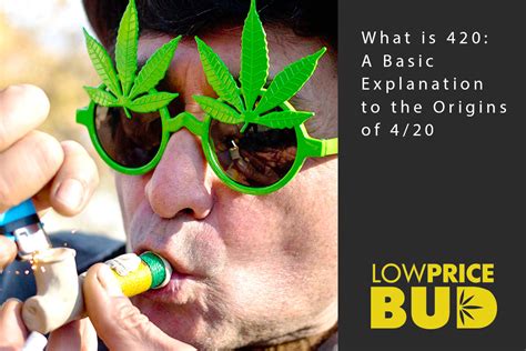 What Is A Basic Explanation To The Origins Of Low Price Bud
