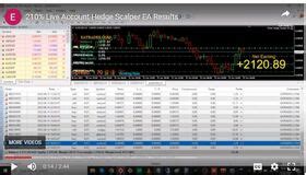 MT Hedge Scalper EA Forex EA Download