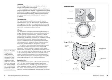 Crohns And Colitis Understanding And Managing Ibd By Hillary