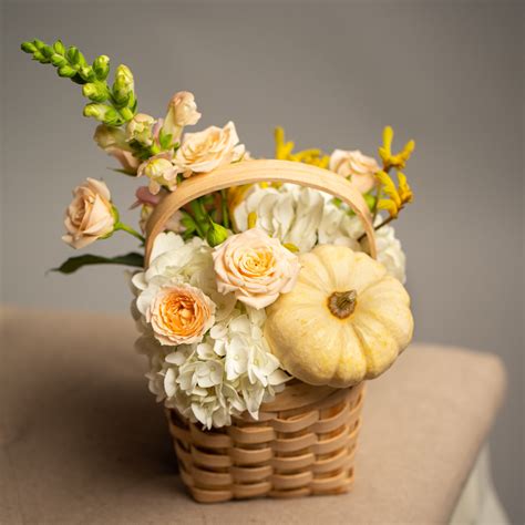Cosul Cu Flori Dovlecelul Buclucas Imod Flowers