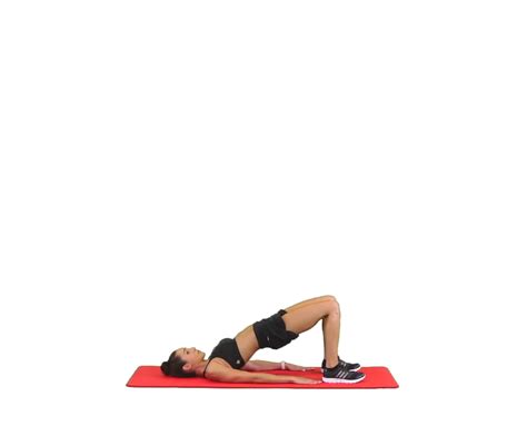 Bridge Exercise Sweat