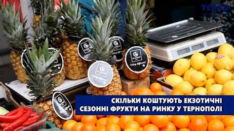 Скільки коштують екзотичні сезонні фрукти на ринку у Тернополі Youtube