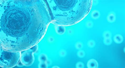 苏州欣协生物科技有限公司丨cgt全自动一体化解决方案供应商