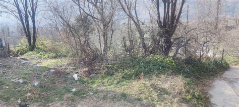Agricultural Land 5 Bigha For Sale In Naggar Road Manali Rei1115034